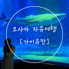 오사카 아쿠아리움 해유관 일본가볼만한곳 가이유칸 수족관 네이버 블로그
